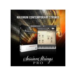 Native Instruments Session Strings Pro - Smpalma.it - Scopri Ora